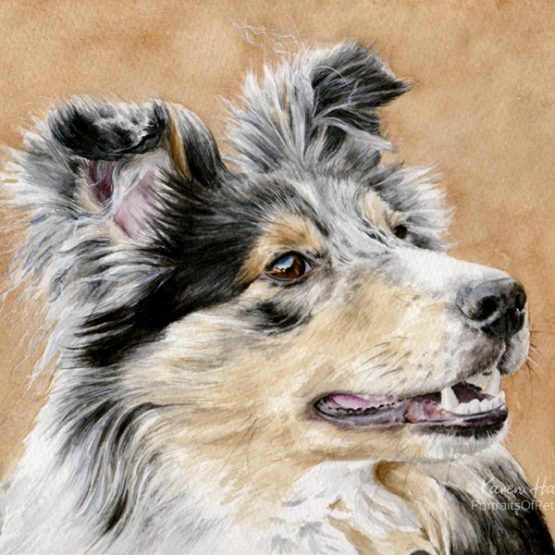How Much Do You Charge For A Pet Portrait how-much-do-you-charge-for-a-pet-portrait