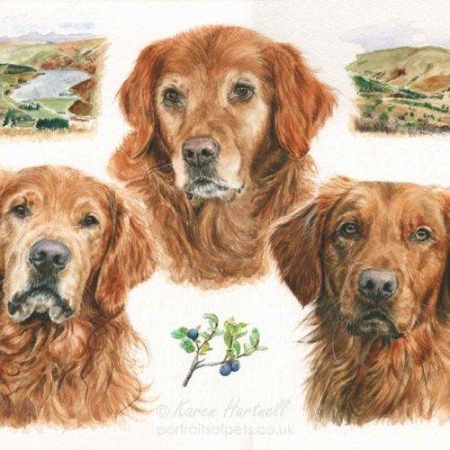 Pet portraits, dog paintings, pet drawings, pet portrait commissions