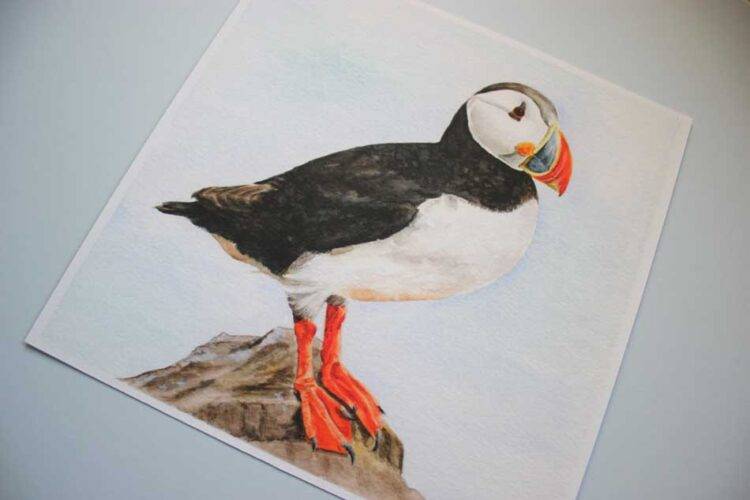 A Puffin Pose - Giclée Art Print - Karen Hartnell