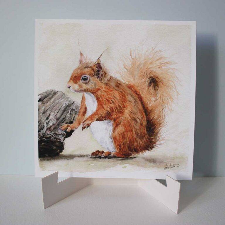 Red Squirrel - Giclée Art Print - Karen Hartnell