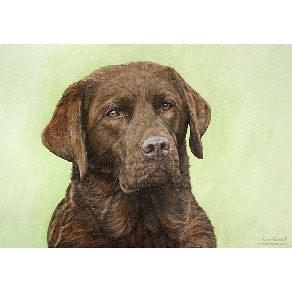 Pet portraits, dog paintings, pet drawings, pet portrait commissions